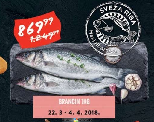 Brancin riba, 1kg, Morska riba i plodovi mora