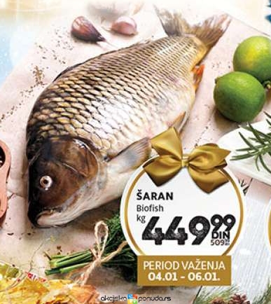 Šaran, 1kg, Rečna riba