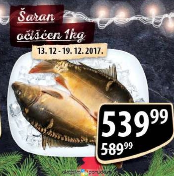 Šaran rečna riba, 1kg, Rečna riba