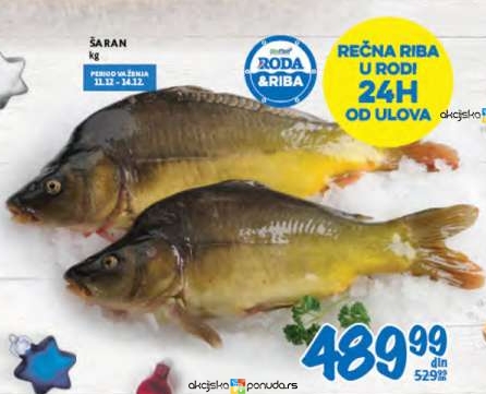 Šaran, rečna riba, 1kg, Rečna riba