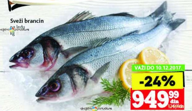 Riba Brancin, 1kg, Morska riba i plodovi mora