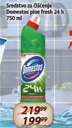 Domestos sredstvo za čišćenje, 750ml, Domestos