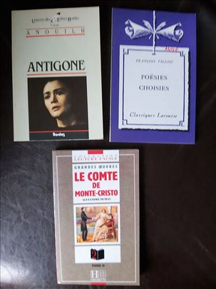 Knjige ne francuskom