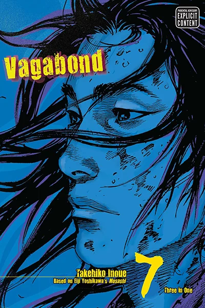 Vagabond, Vol. 7 (Vizbig Edition)