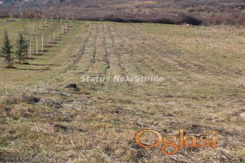 Odličan plac Vrdnik- Bekatovo sa predivnim pogledom 0653858888