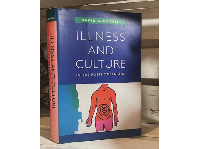 Illness and Culture in the Postmodern Age David B. Morr