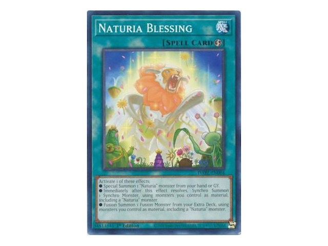 Yu-Gi-Oh! Naturia Blessing - DABL-EN064