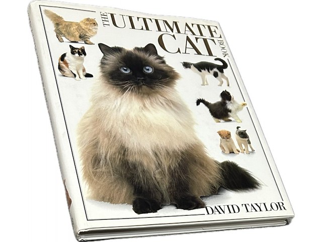 The ultimate cat-David Taylor
