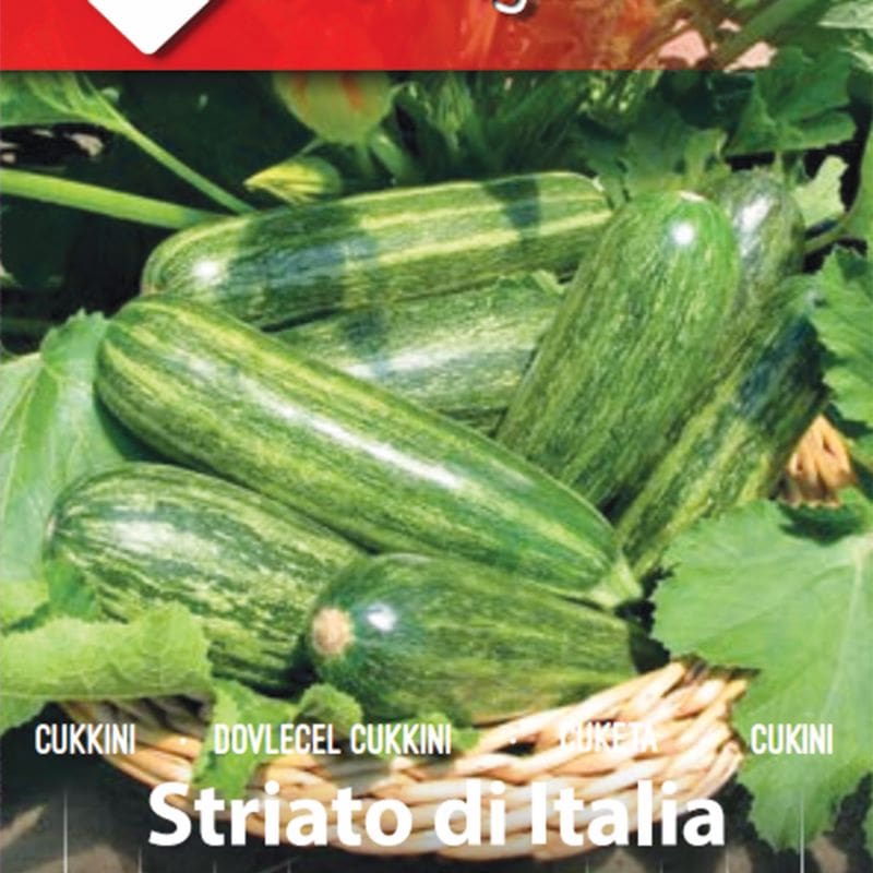 Tikvica Striato Di Italia