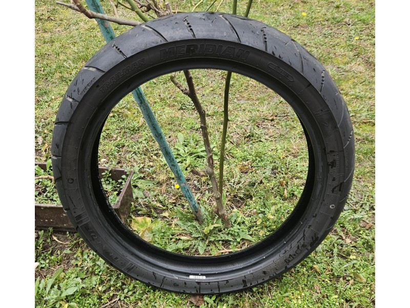 110/80R19 DUNLOP MERIDIAN