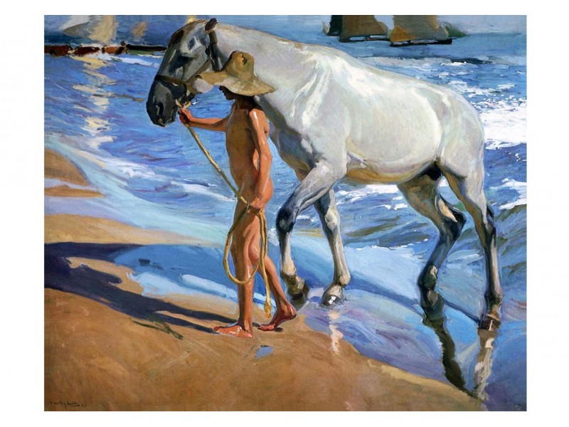 Konj se kupa - Sorola