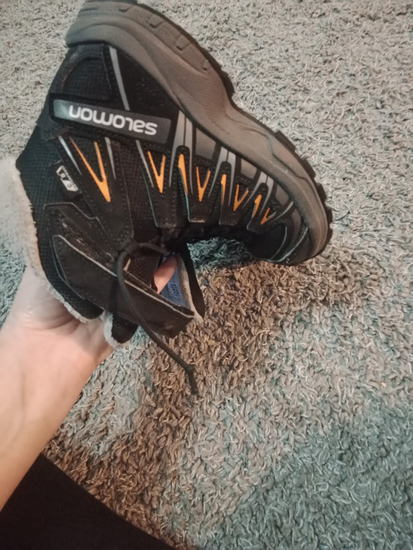 Salomon 31