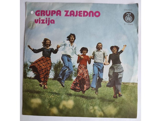 Grupa Zajedno – Vizija