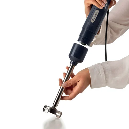 Ariete AR601DG štapni blender
