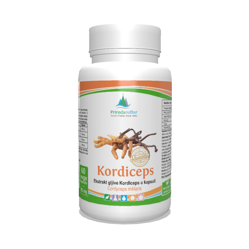 Kordiceps gljiva (Cordyceps Militaris) – lekovita pečurka u kapsulama sa 30% beta glukana 60 x 500 mg
KORDICEPS JE GLJIVA SNAGE