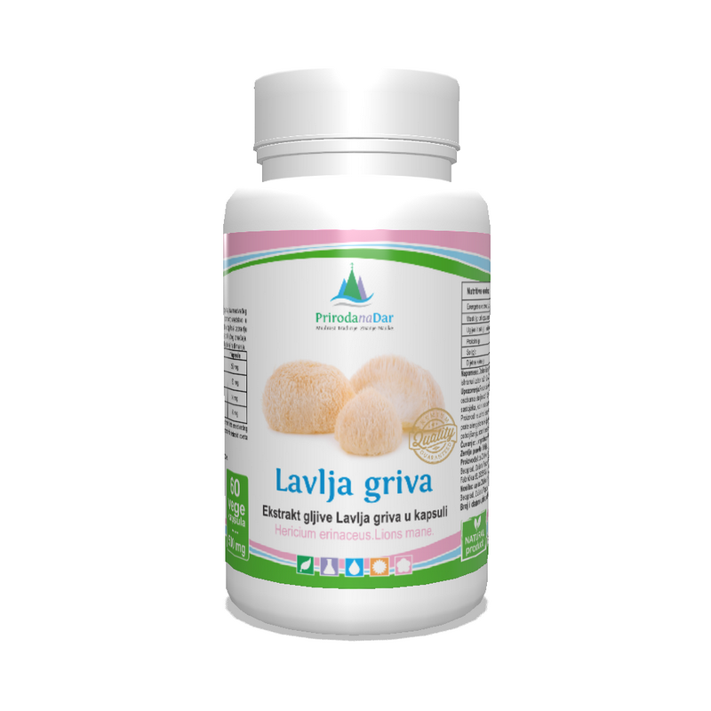 Lavlja griva gljiva (Hericium erinaceus) – lekovita pečurka u kapsulama sa 30% beta glukana 60x 500 mg
MEDICINSKA GLJIVA ZA GLAVU