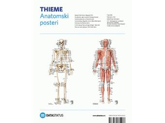 Anatomski posteri: kosti i mišići