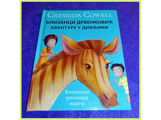 Cressida Cowell: Pustolovine Blizanaci Drvenković ★★★