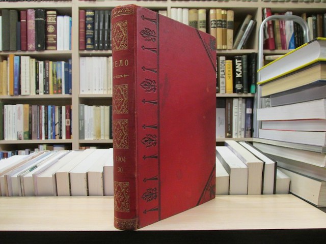 DELO (knjiga 30-31, godina 1904)