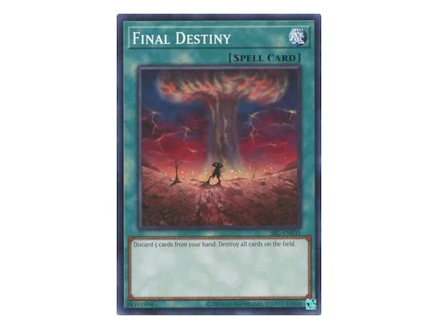 Yu-Gi-Oh! Final Destiny - SRL-EN035