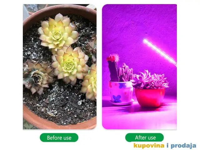 USB UV LED Lampa za rast biljaka