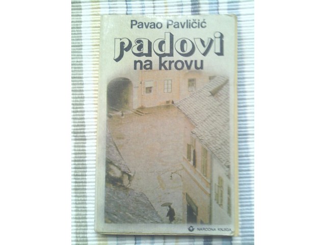Radovi na krovu - Pavao Pavličić