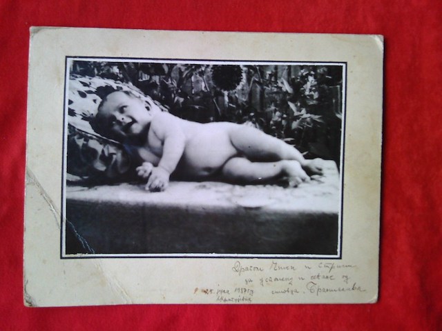 Fotografija bebe na kartonu 1937 god .