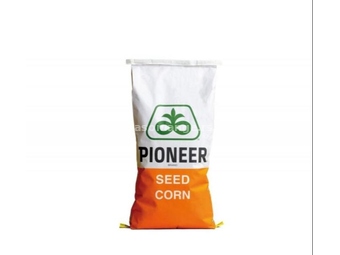 Semenski kukuruz pioneer p0164