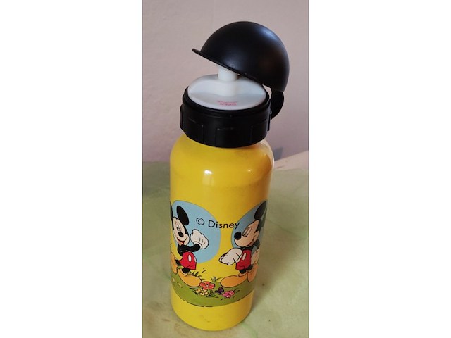 Disney bocica 500 ml