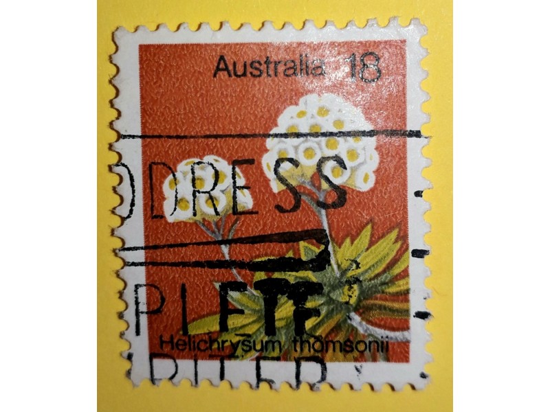 Australia - flora