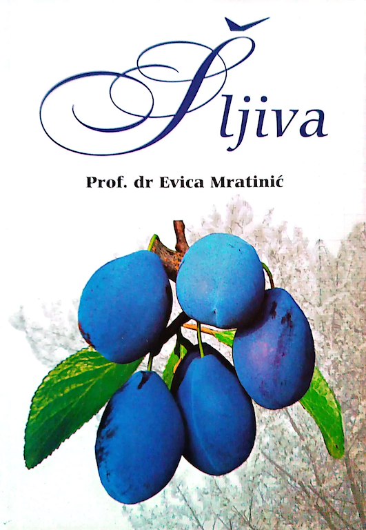 Šljiva- prof.Evica Mratinić