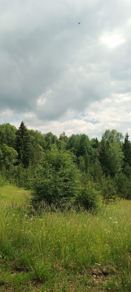 Na prodaju placevi, Bajina Basta, Naselje Jezera – Konjska reka