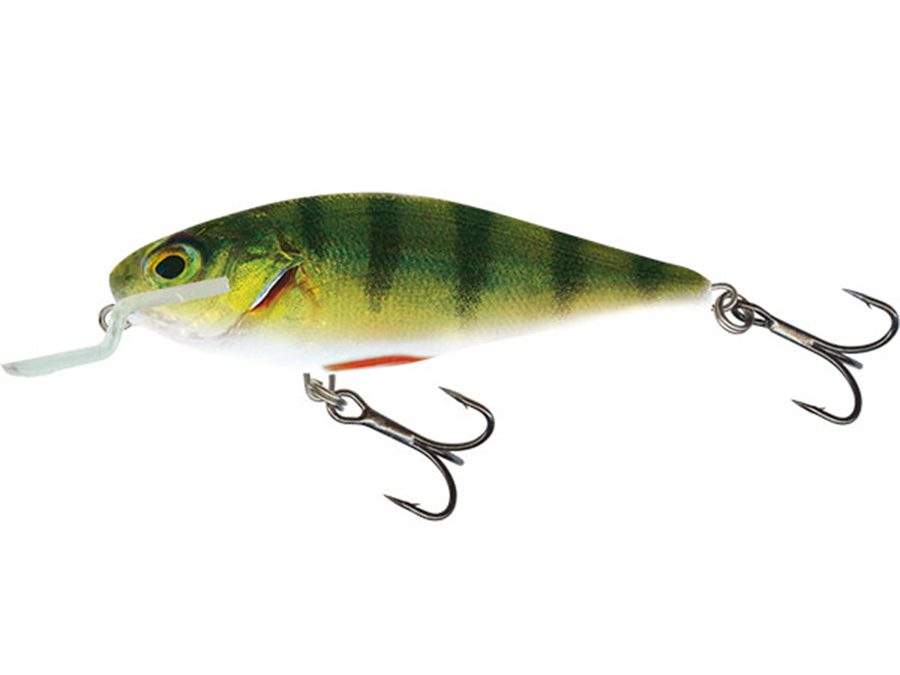 Salmo Executor 7 RP vobler