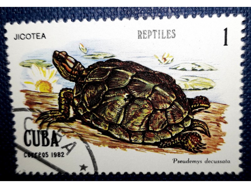 Cuba 1982 fauna