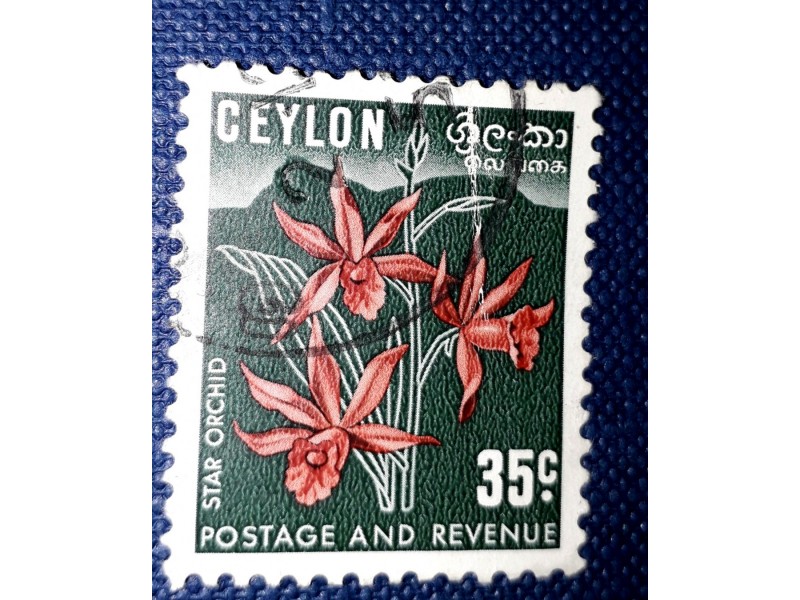 Ceylon flora