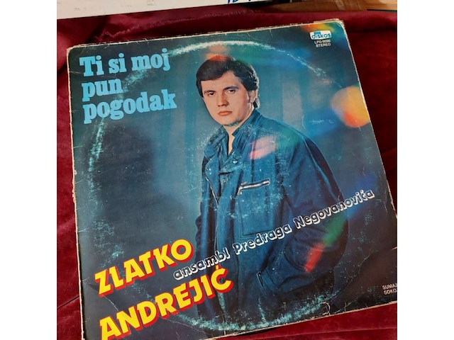 Zlatko Andrejić - Ti si moj pogodak