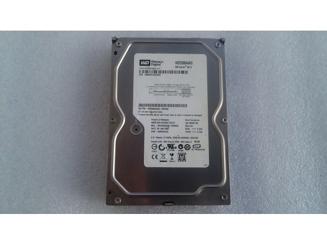 250Gb WD 3.5 SATAII 16Mb Perfekt 100/100%