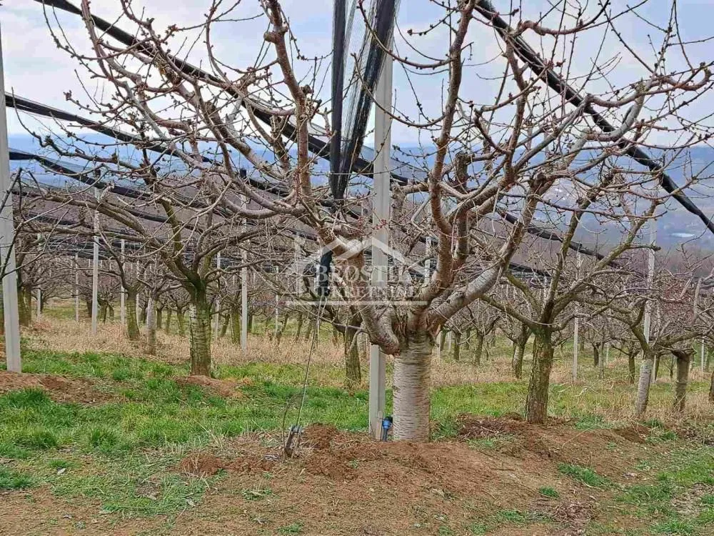 Prodaja, zemljište, 32477m2, Begaljica, Grocka, Beograd