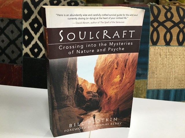 Soulcraft Crosing into the Mysteries of Nature and Psyc