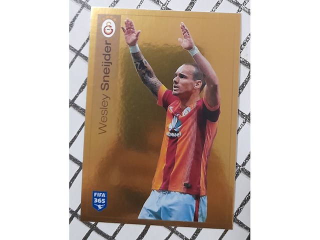 Fifa 365, 2015-16, Panini, Sličica #779