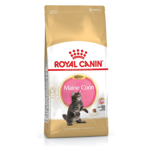 Royal Canin Mainecoon Kitten 2 kg