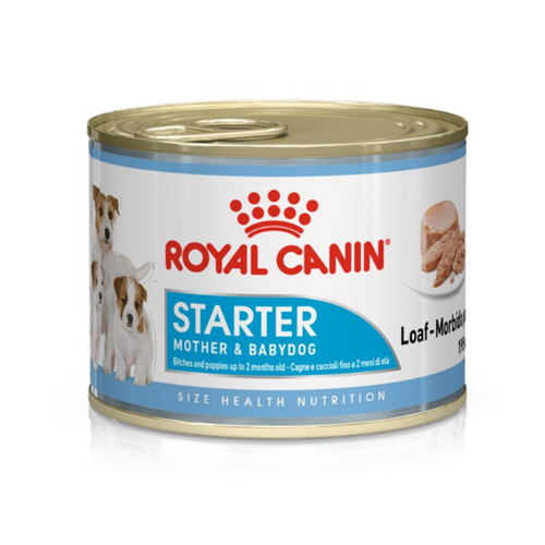 Royal Canin Starter Mousse