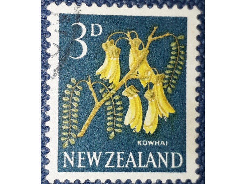 New Zealang flora