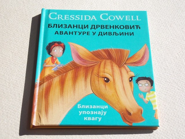 Cressida Cowell - Blizanci Drvenković broj 2