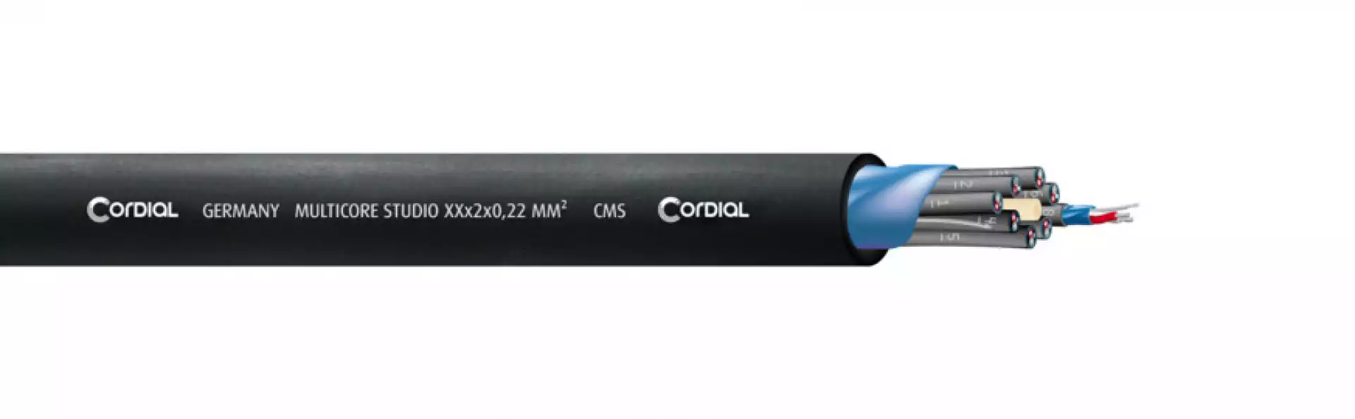 Cordial CMS 12