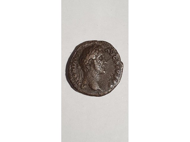 ²⁴⁴ Antoninus Pius