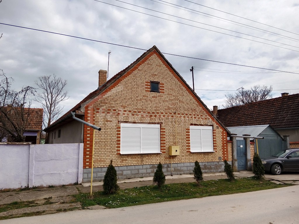 Lenjinova 22,
Opština Bački Petrovac, Glozan, Srbija