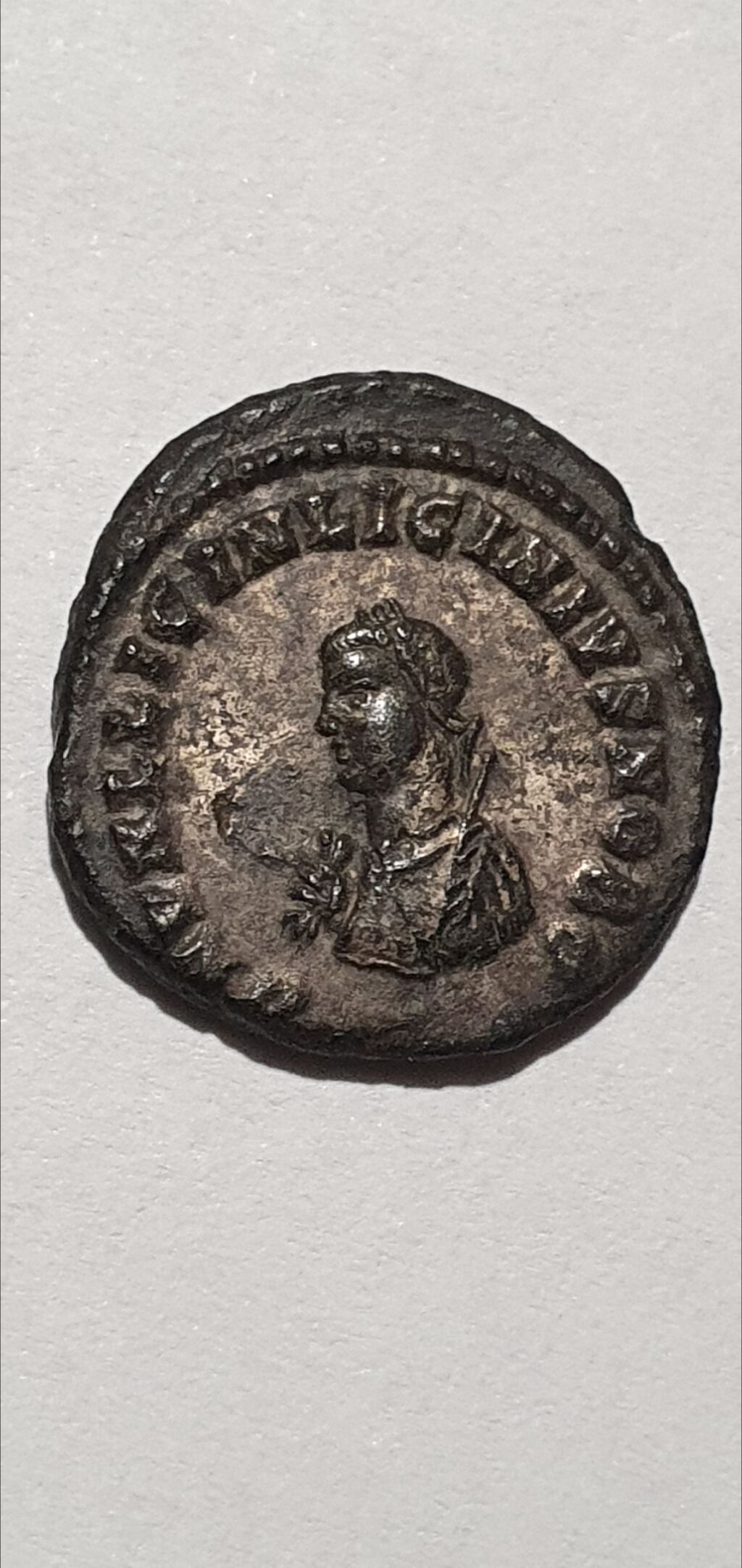 ☆ Licinius II “Small Portrait & Camp Gate” Heraclea 318-320 AD