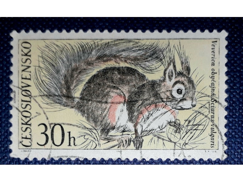 Čehoslovačka 1967 fauna