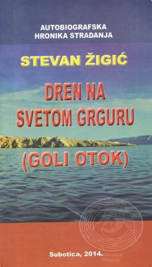 Dren na Svetom Grguru (Goli otok)